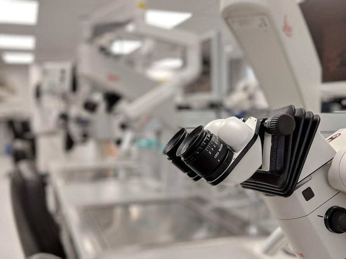 Curriculum | Ophthalmology & Visual Sciences