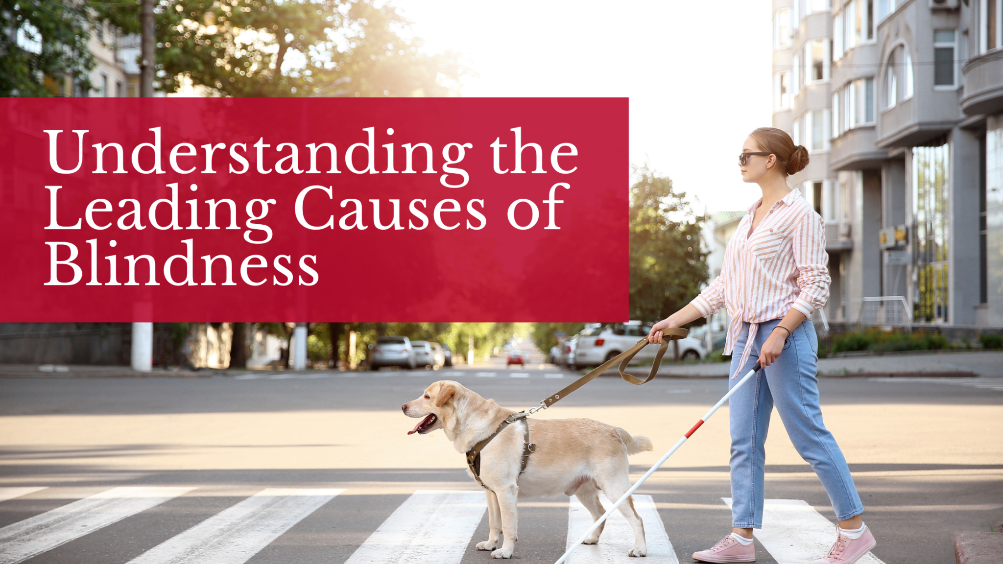 Understanding the Leading Causes of Blindness | Ophthalmology & Visual ...