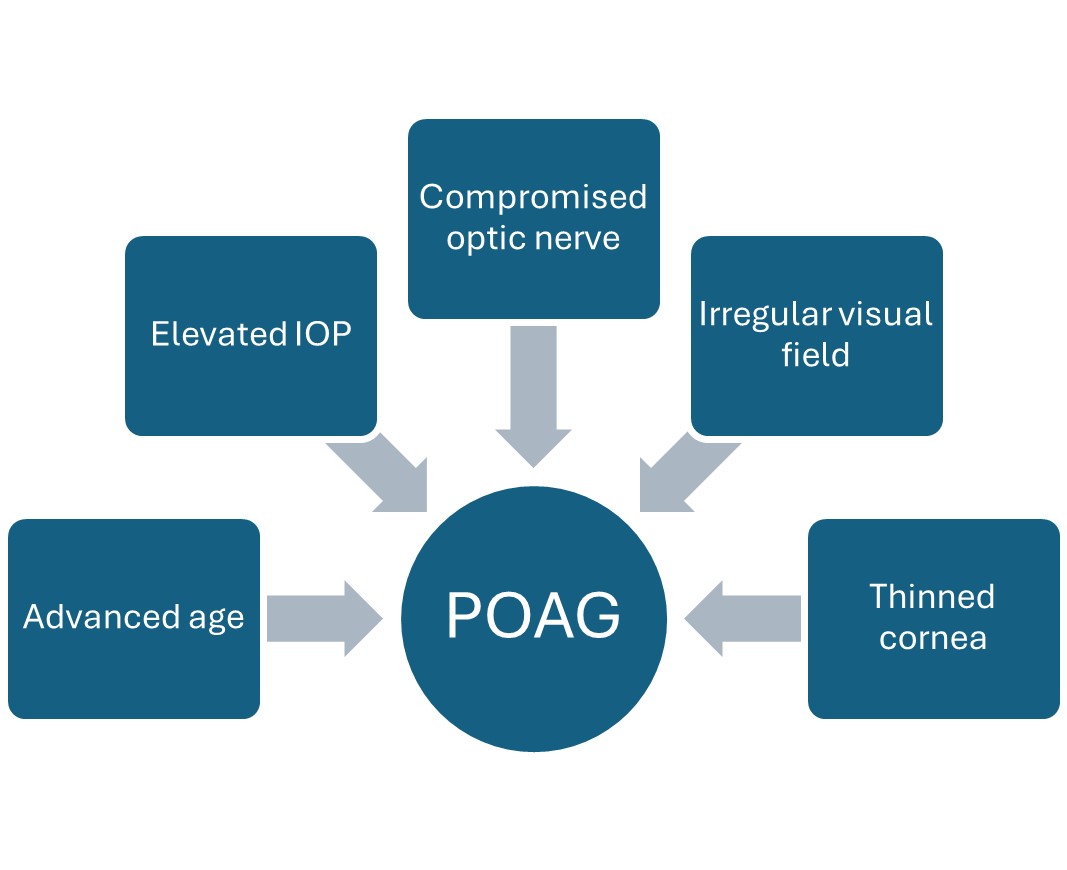 Linking Ocular Hypertension and Primary Open-Angle Glaucoma: What We ...