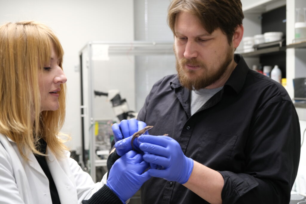 Research | Ophthalmology & Visual Sciences